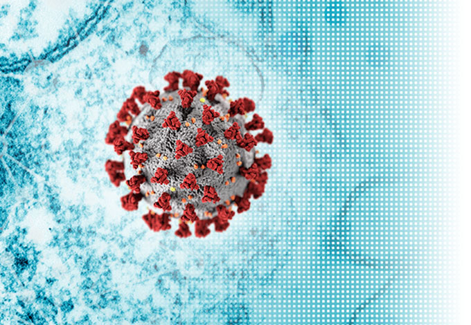 Trisotech | Leading the Decision Automation Revolution