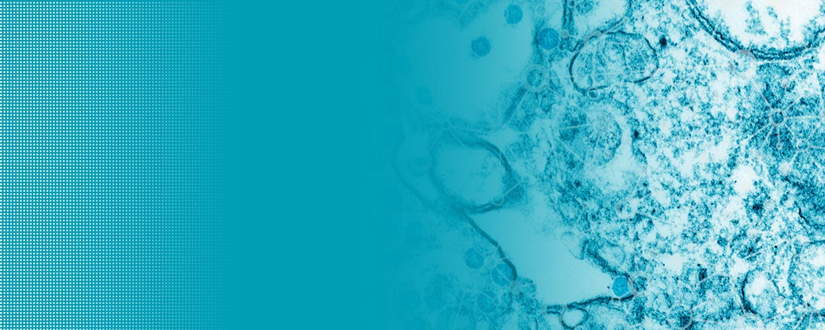 Trisotech | Leading the Decision Automation Revolution